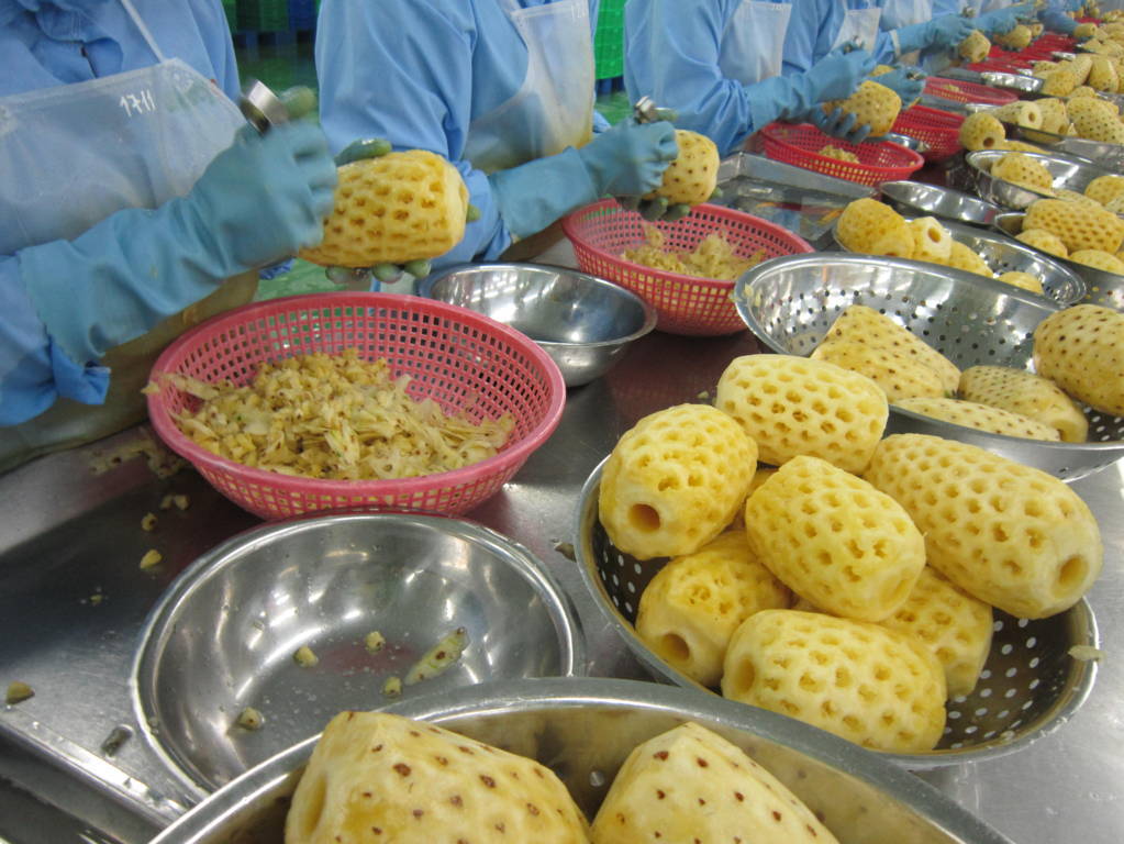 NUMBER ONE - FROZEN PINEAPPLE FRUIT Satisfy Your Taste Buds Healthy ...