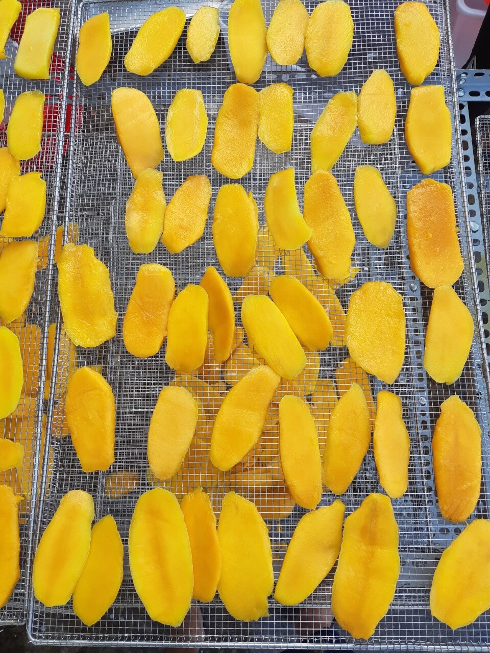 HOT GOODS - SOFT DRIED MANGO FRUIT Produced from New Materials is ...
